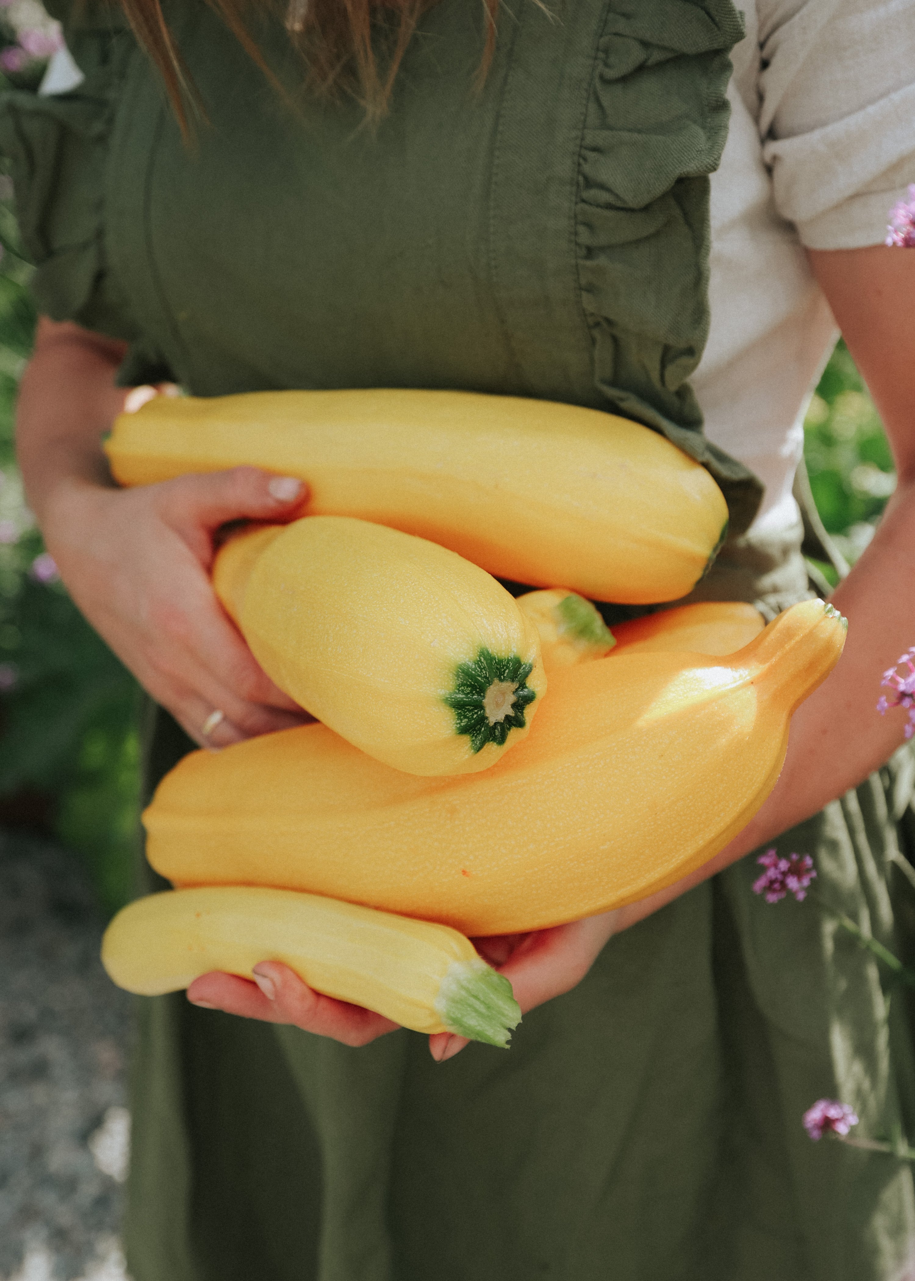 Odla zucchini – Florea Garden