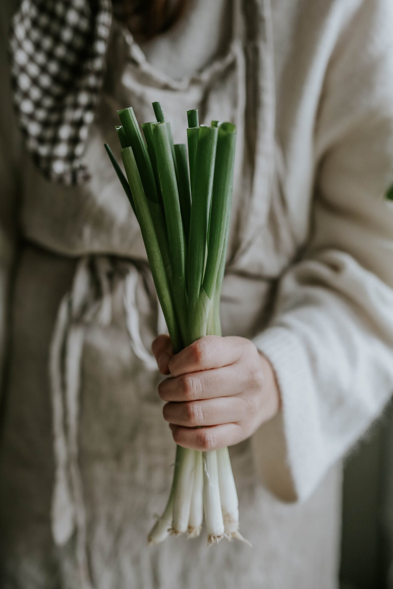 Apprenez à cultiver des cébettes - L'atelier de jardinage – Florea Garden
