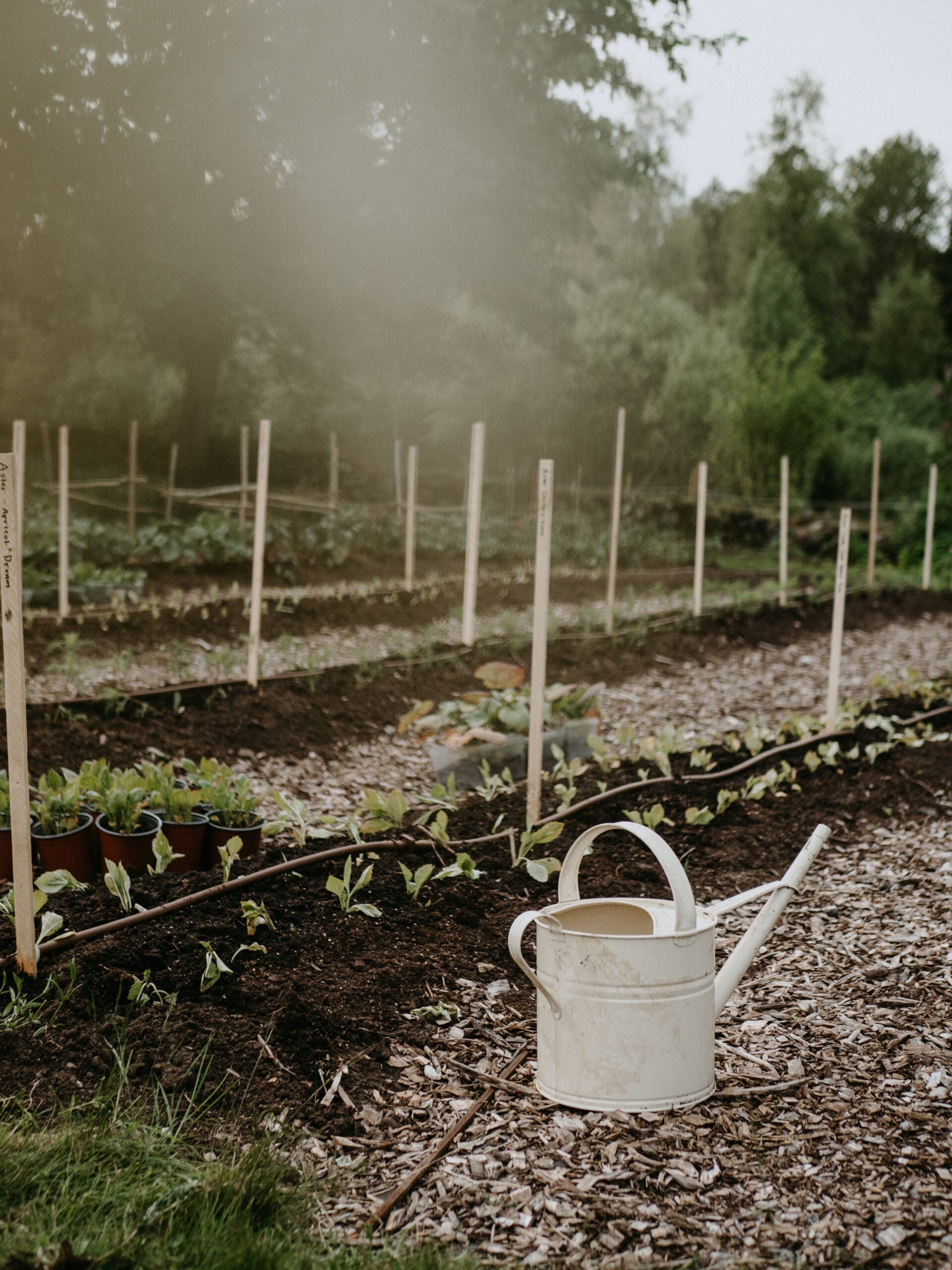 Apprendre la méthode sans creuser - L'école d'agriculture – Florea Garden