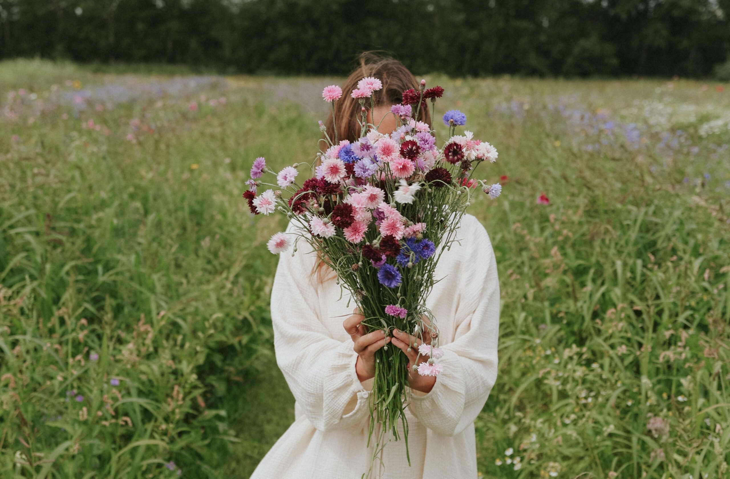 Flower mixes seeds - buy seeds online – Florea Garden
