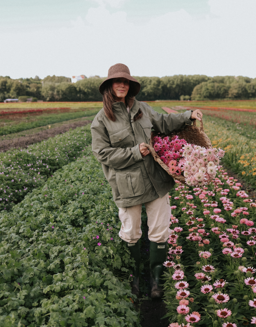 Growing Calendar – Sow month by month – Florea Garden