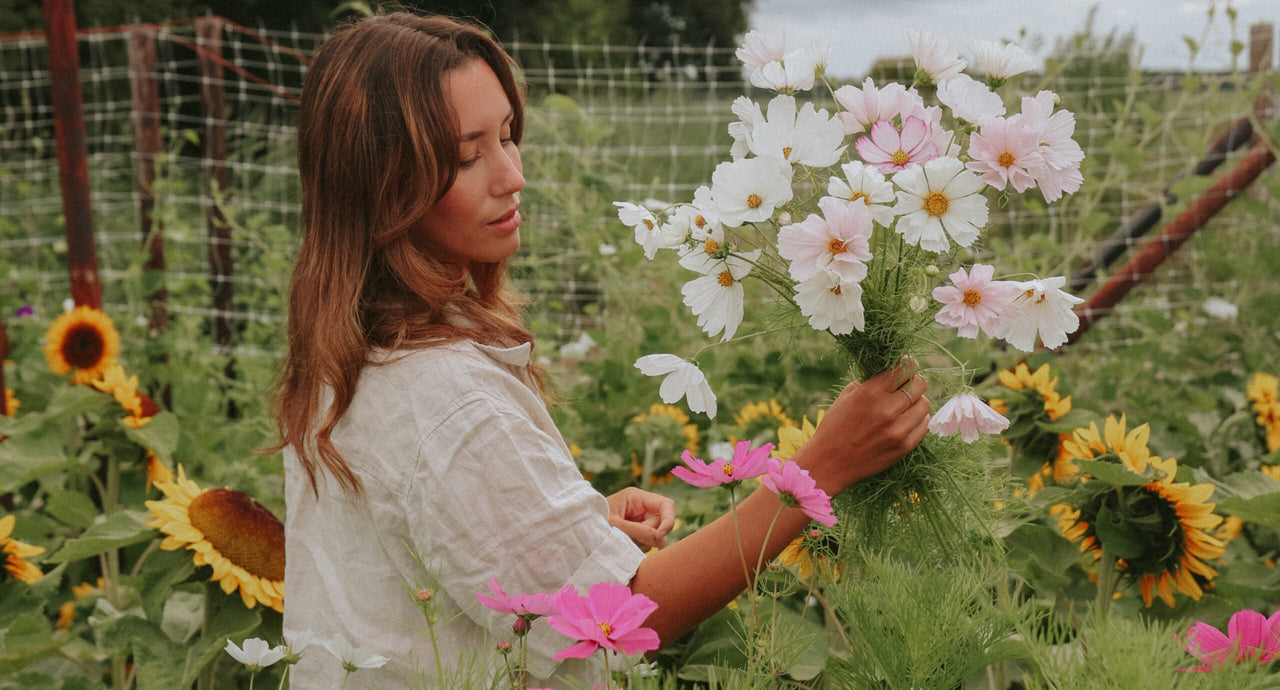 Flower seeds - buy seeds online – Florea Garden