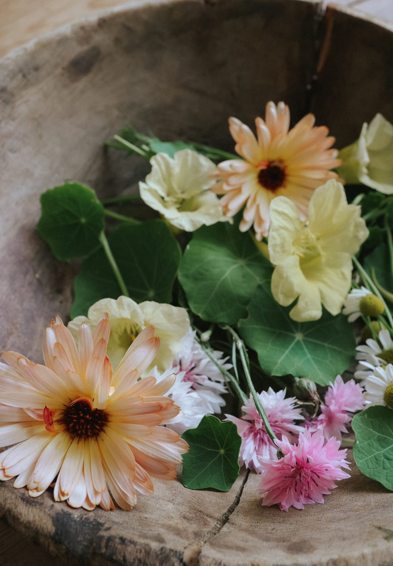 Eatable flower mix seeds - buy seeds online – Florea Garden