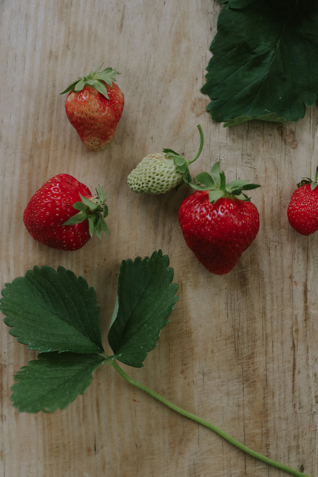 Graines Fraise - Grandian F1 - acheter des graines en ligne – Florea Garden