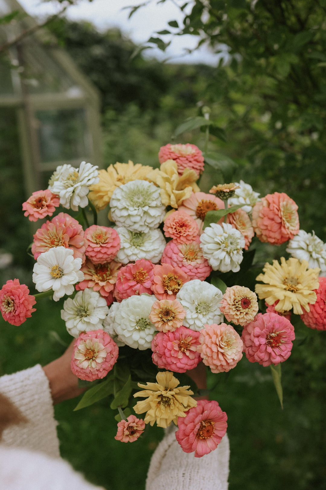Seeds online - your seed store online – Florea Garden