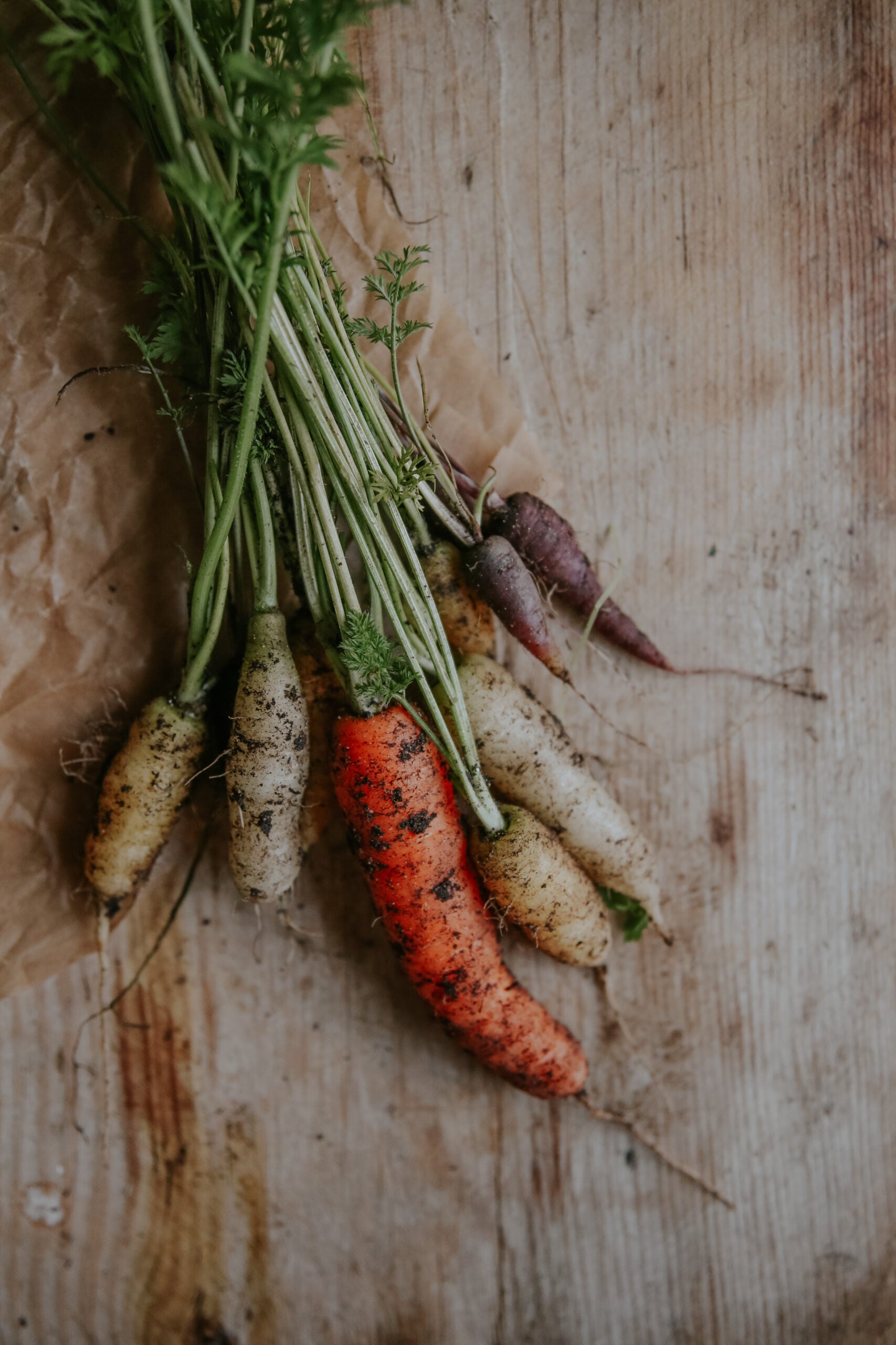 Carrot seeds - Rainbow Mix F1 - buy seeds online – Florea Garden