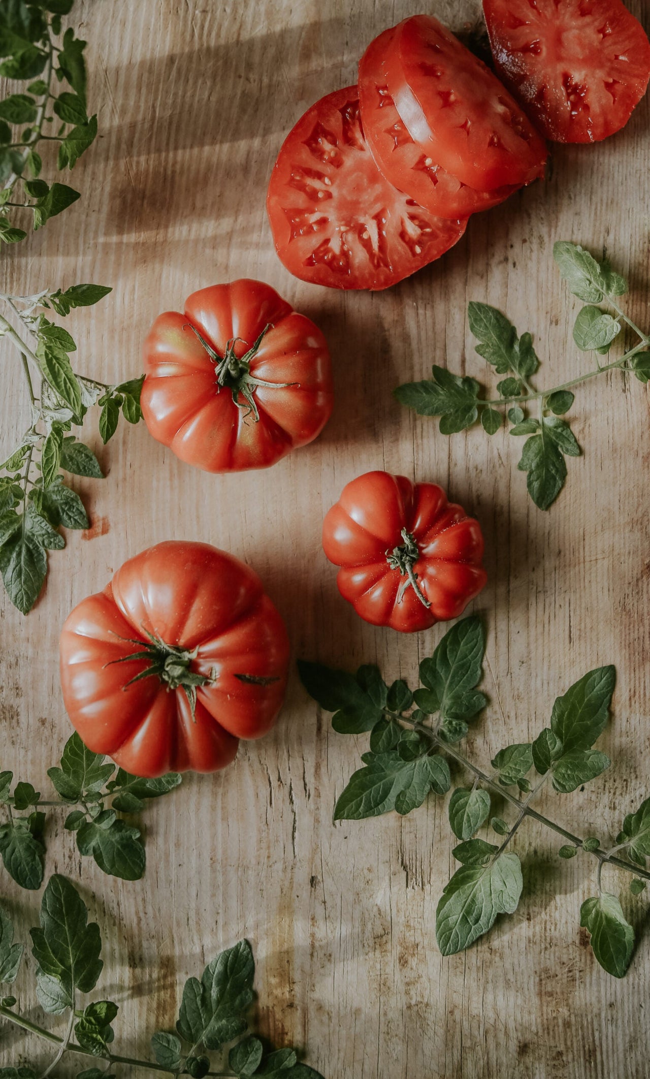 Seeds Beef tomato - Marmande - Buy seeds online – Florea Garden